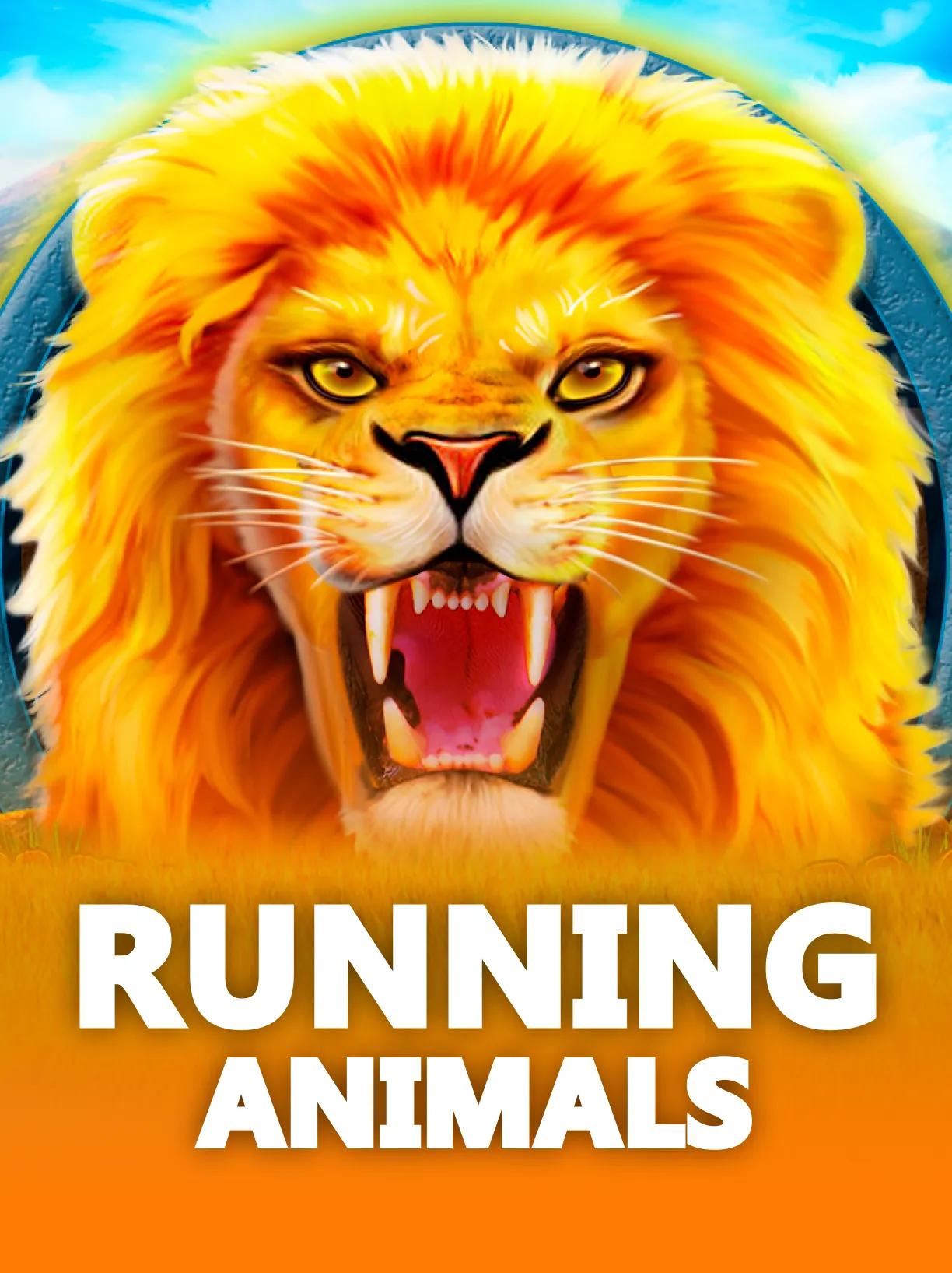 Runway Girls Slot by DiceLab - Play Online | Red Dog Casino