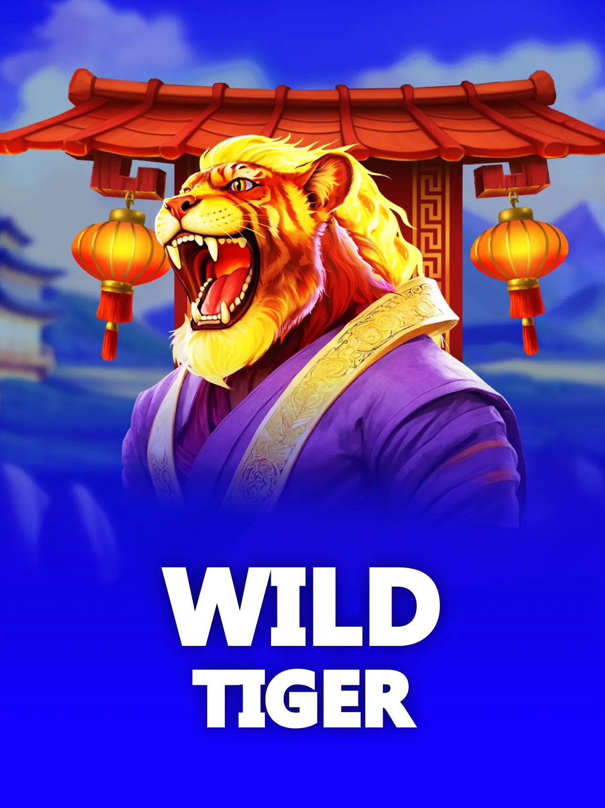 Wild Joe Gunfighter Slot Game Play Online for Real Money